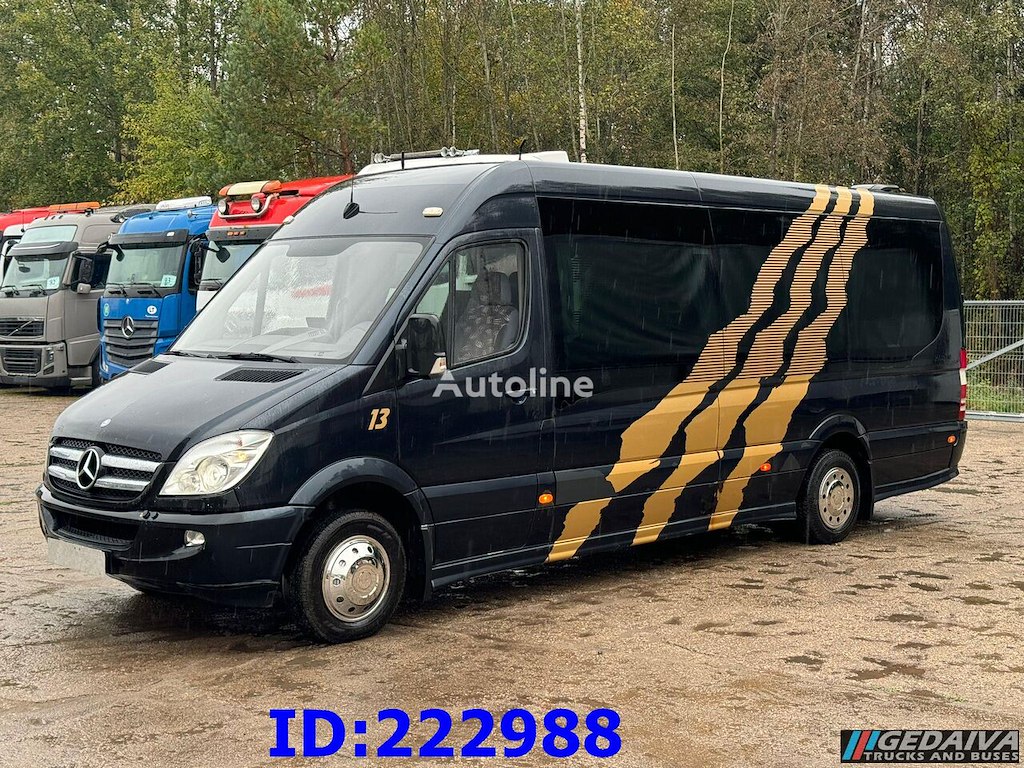 Mercedes-Benz Sprinter 519 VIP - 17 Seater putnički minibus