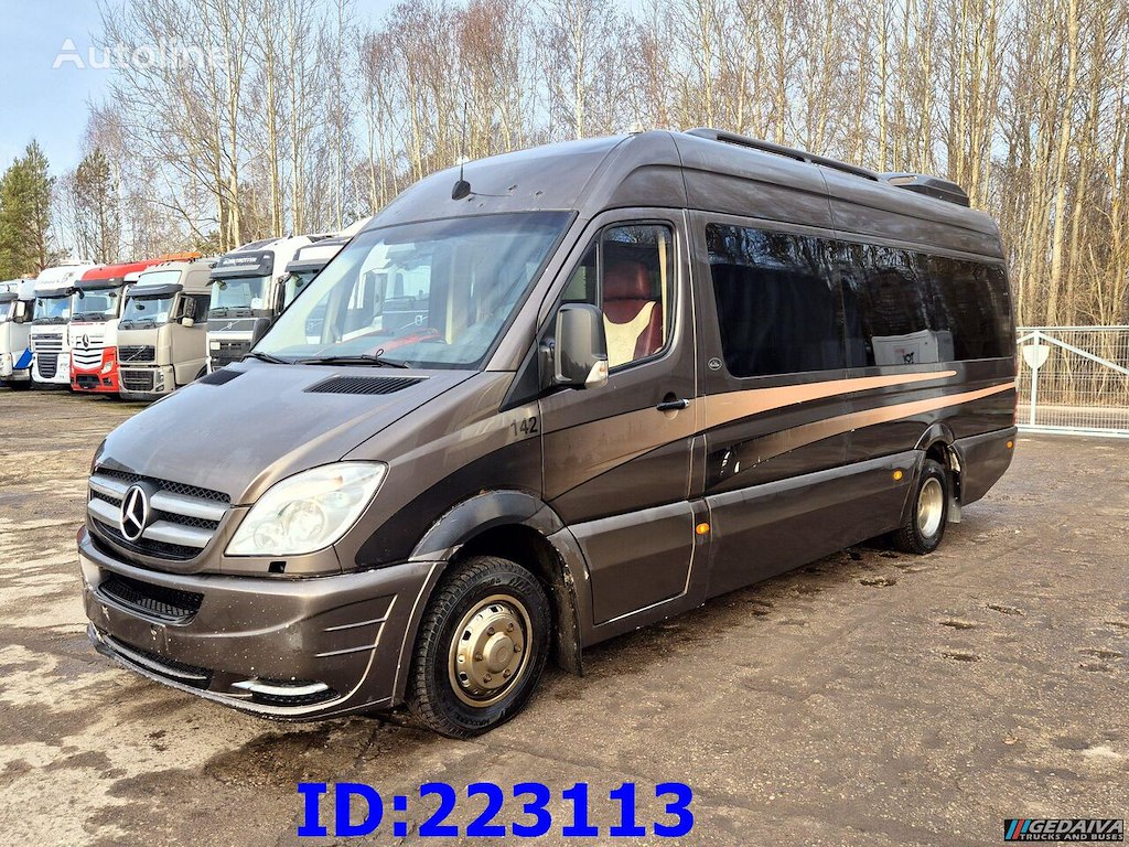 Mercedes-Benz Sprinter 519 - VIP - 17 places putnički minibus