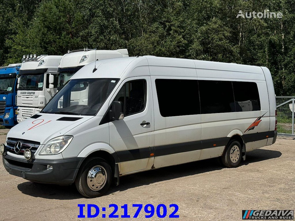 Mercedes-Benz Sprinter 516 putnički minibus