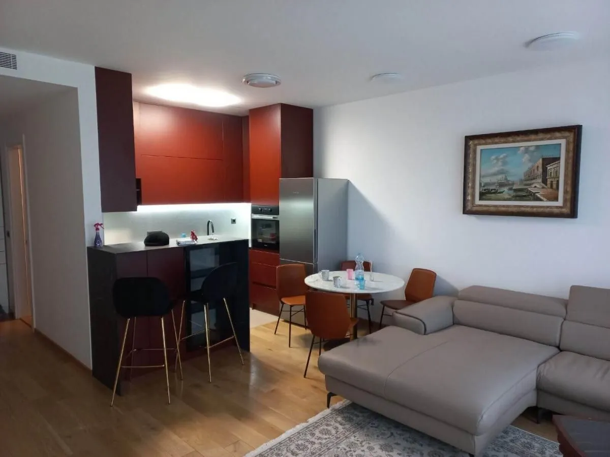 Izdavanje, dvosoban stan, 55m2, Dorćol, Beograd