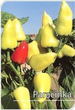 Paprika " Paraćinka "