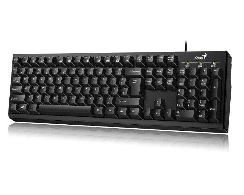 GENIUS KB-100 USB US crna tastatura