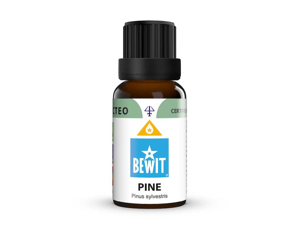 PINE (Bor)