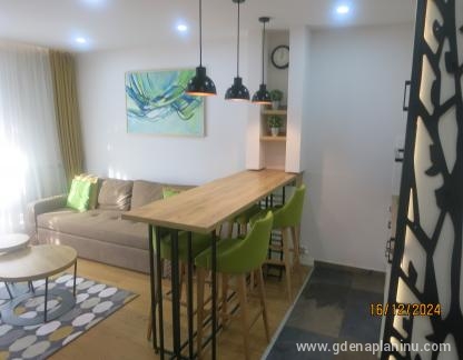 Smeštaj: Apartman Pinetta Zlatibor