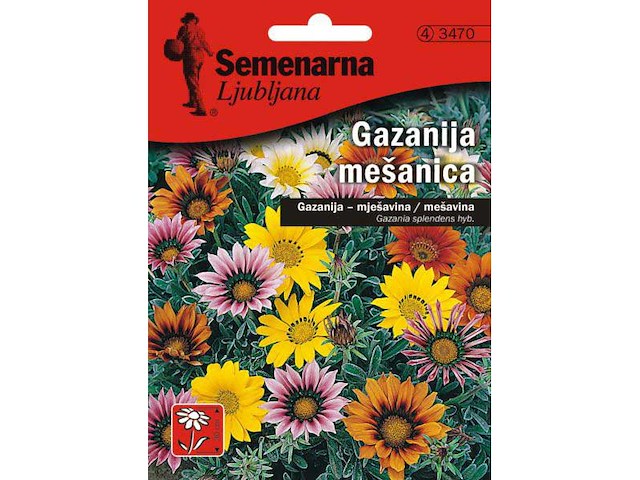 Baštensko cveće Gazanija - mešavina - Gazania splendens hyb. 5 kesica 3470