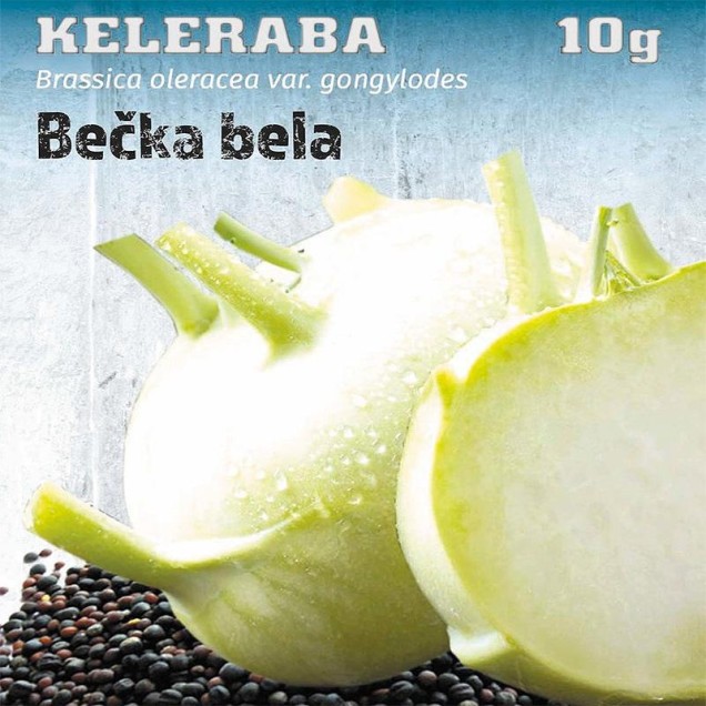 Keleraba- Bečka bela seme