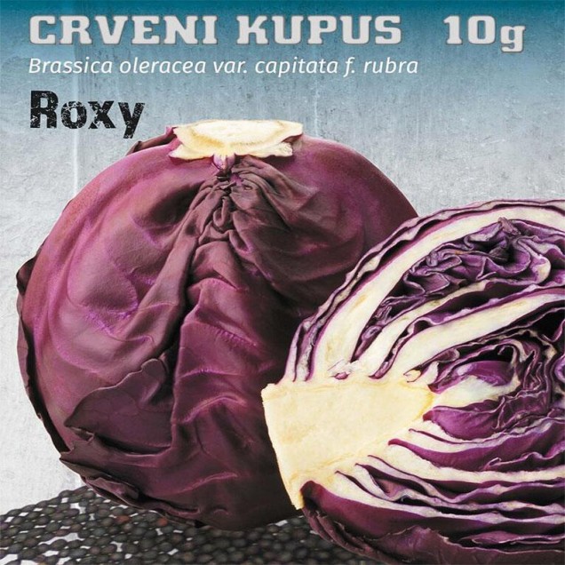 Crveni kupus seme