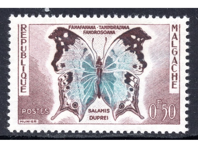 249 - Madagaskar - Leptir - nežigosana marka