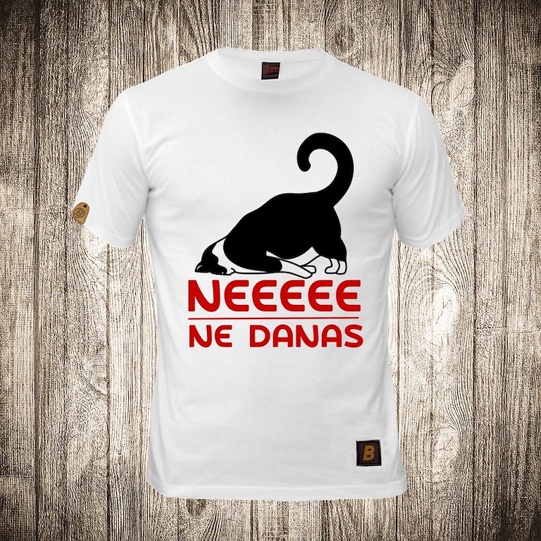 Mrzovoljna mačka – Neeeee, ne danas