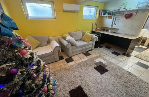 Prodajem Stan-Apartman, Cara Dušana