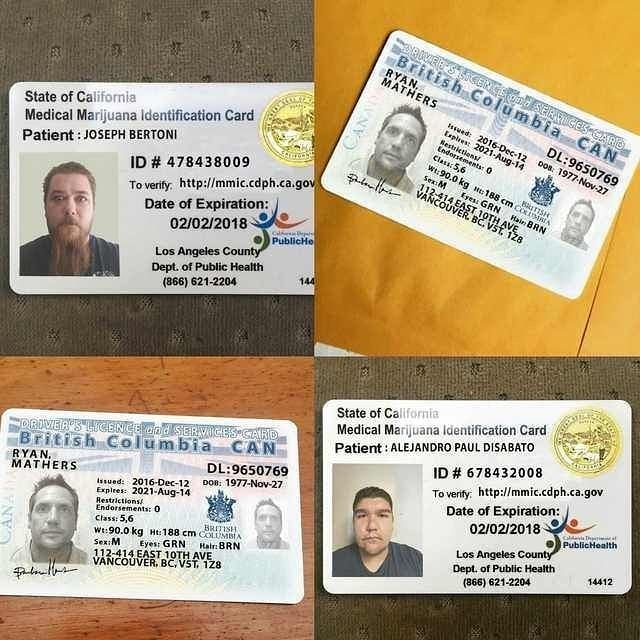 Passport ID DL SSN