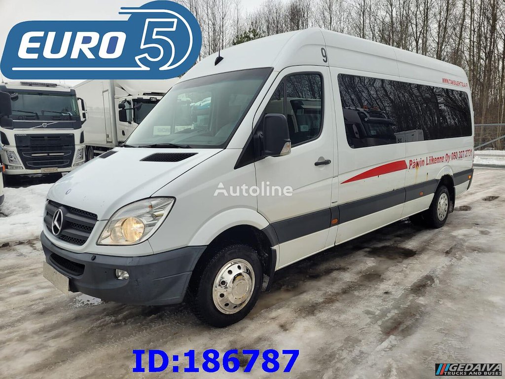 Mercedes-Benz Sprinter 516 putnički minibus