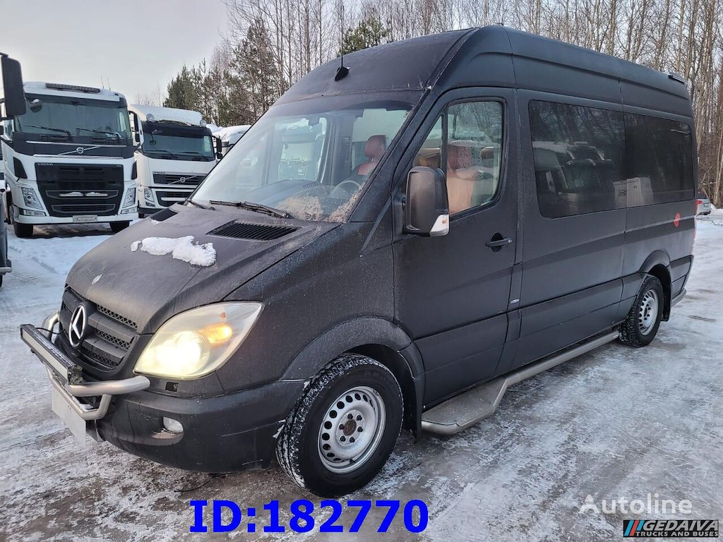 Mercedes-Benz Sprinter 319 VIP Euro5 putnički minibus