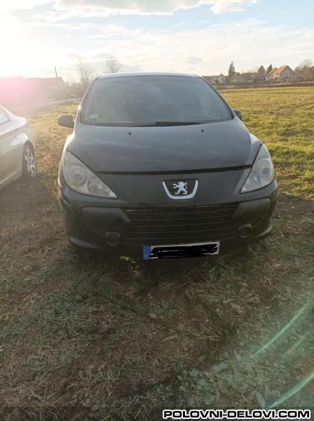 Peugeot 307 Benzin - Dizel Izduvni Sistem