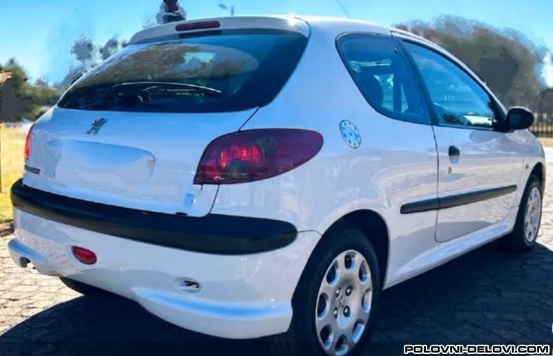 Peugeot 206 BENZINAC - DIZEL Svetla I Signalizacija