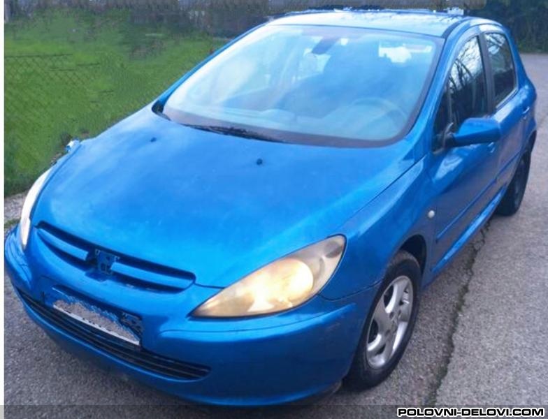 Peugeot 307 Benzin - Dizel Elektrika I Paljenje