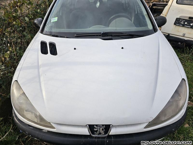 Peugeot 206 BENZINAC - DIZEL Svetla I Signalizacija