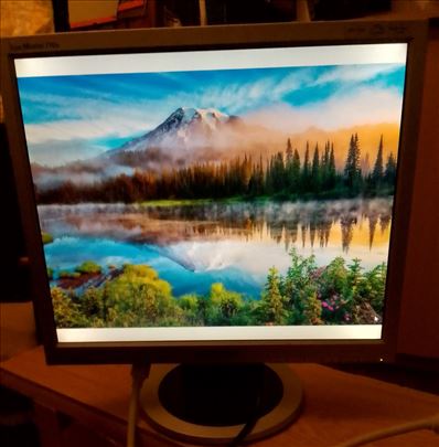 Samsung monitor SyncMaster 43.2 cm - 17 inch 710N