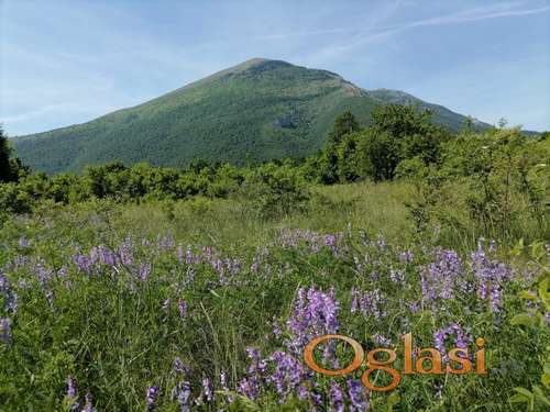 RTANJ - SAVRŠENA INVESTICIJA ZA RURALNI TURIZAM - Gradjevinsko zemljište sa gradjevinskom dozvolom