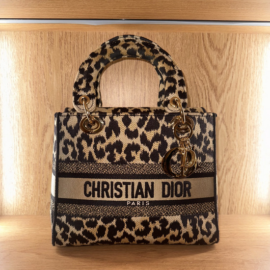 Christian Dior Dlite bag