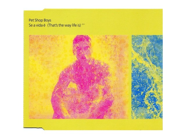 Pet Shop Boys – Se A Vida É | Single