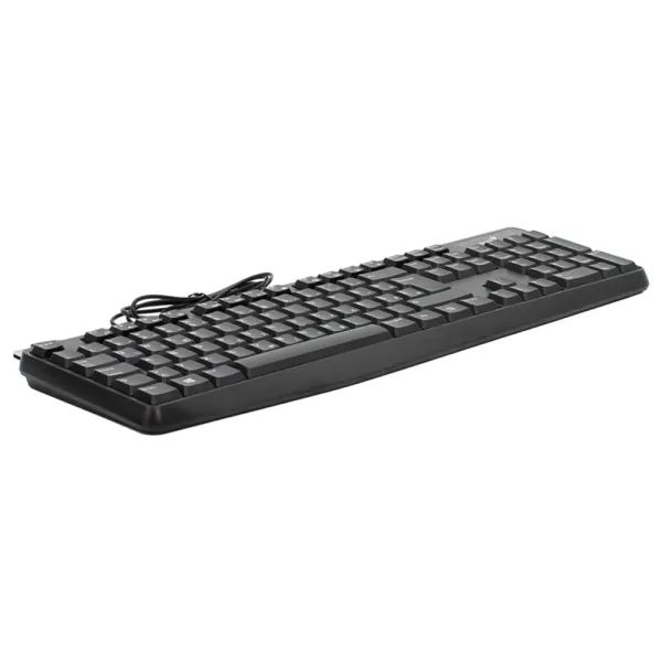 GENIUS KB-117 USB YU crna tastatura