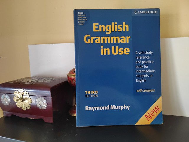 English grammar in use