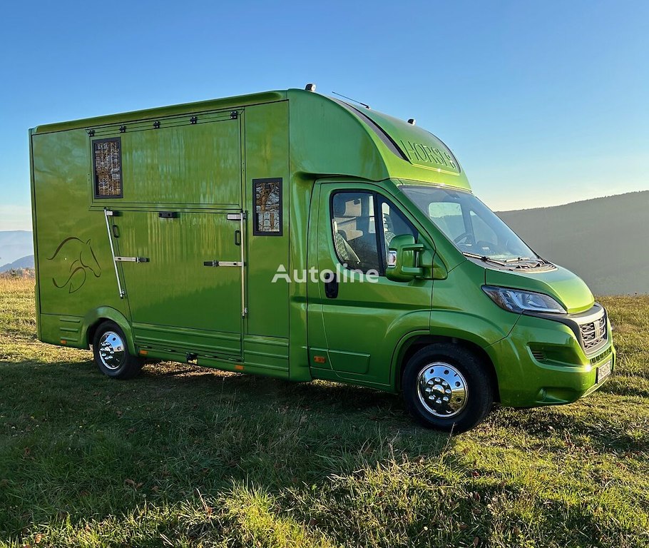 FIAT DUCATO vozilo za prevoz konja