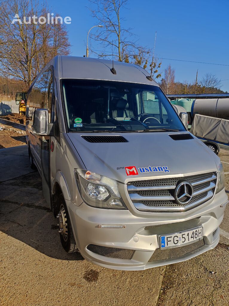 Mercedes-Benz Sprinter 519 putnički minibus