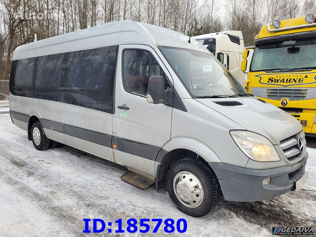 Mercedes-Benz Sprinter 516 - VIP - Avestark putnički minibus