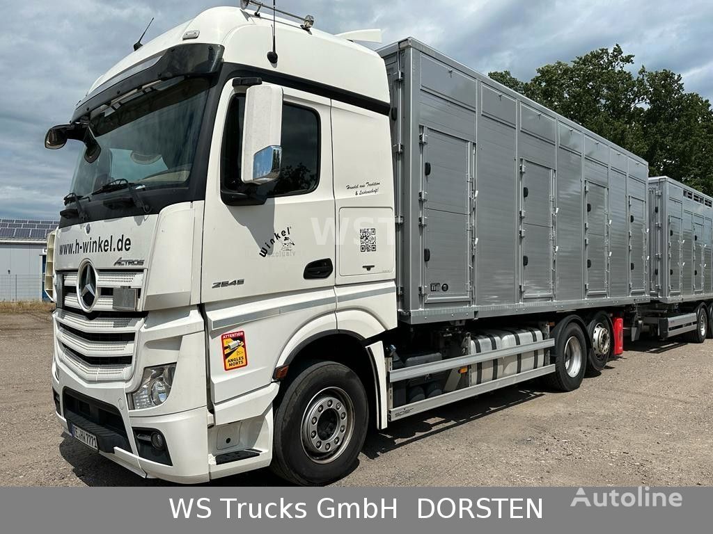 Mercedes-Benz Actros 2545 L BDF Menke Einstock "Neu" Mehrfach kamion za prevoz konja