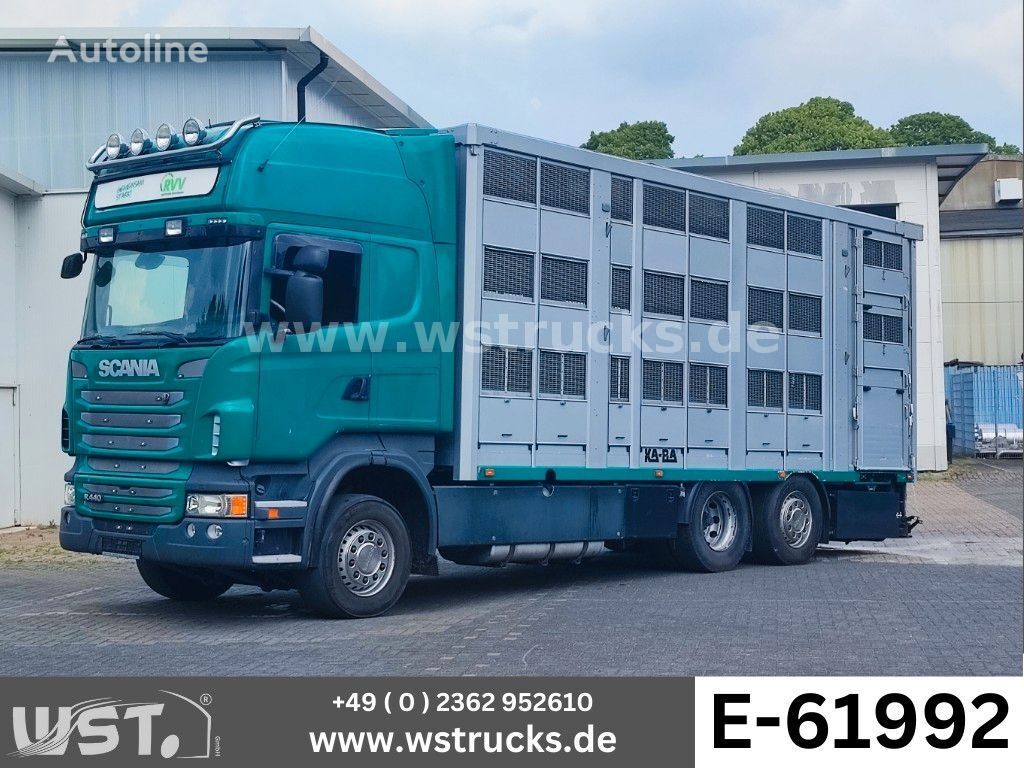 Scania R 440 Topline KABA 3 Stock Hubdach kamion za prevoz konja