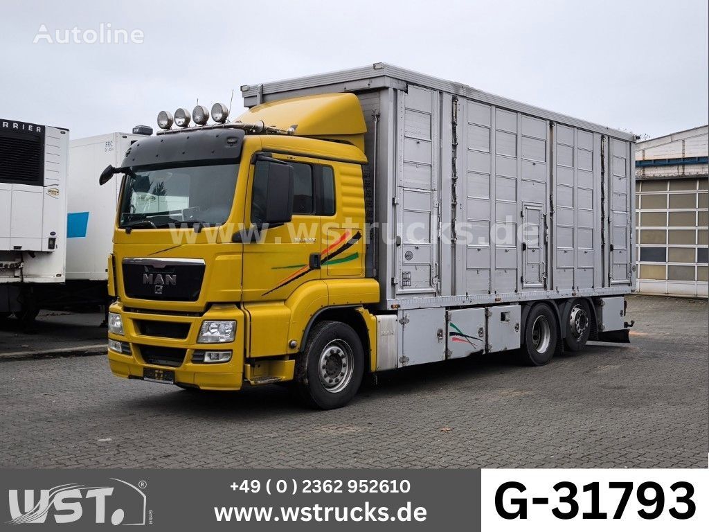 MAN TGX 26.440 XL Menke 3+4 Stock Vollalu kamion za prevoz stoke