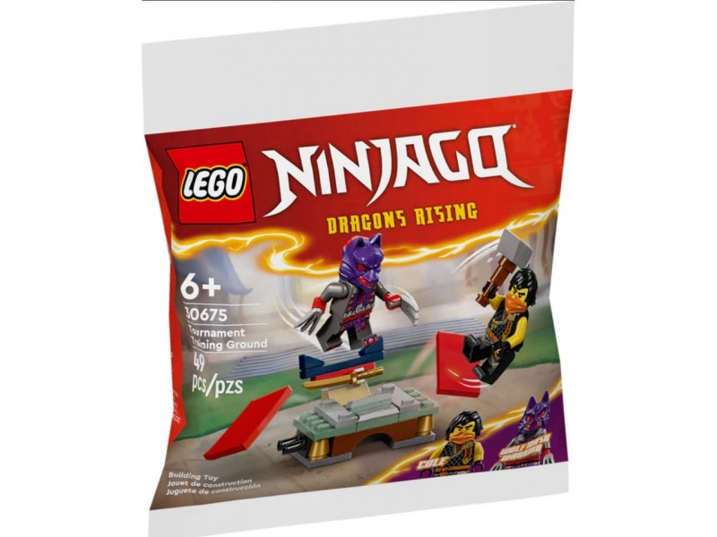 LEGO 30675 Ninjago Dragons Rising Set