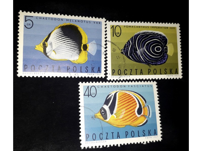 Polska 1967 - fauna