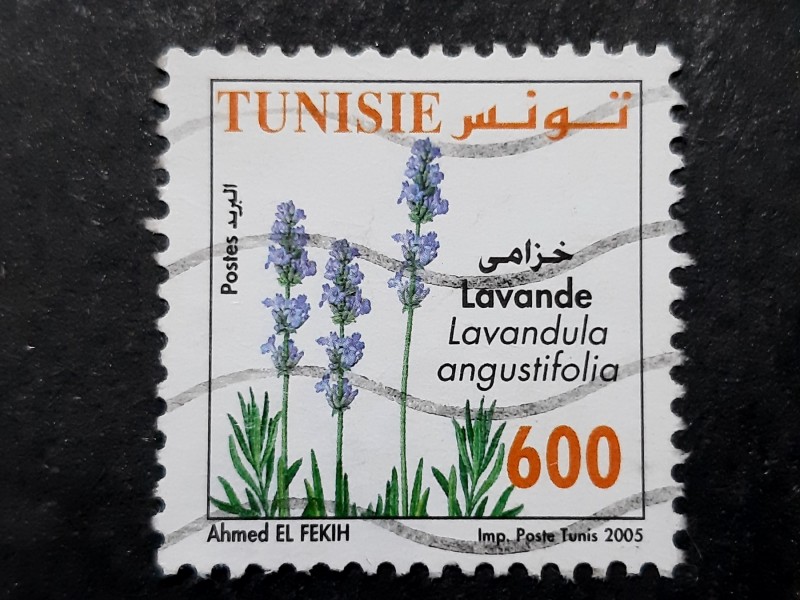 Tunis 2005.god. -600m