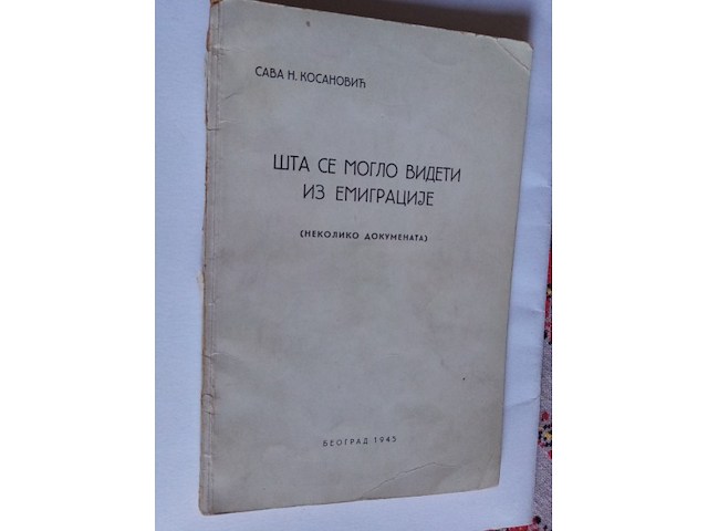 Šta se moglo vidjeti iz emigracije,Sava.N.Kosanović,194