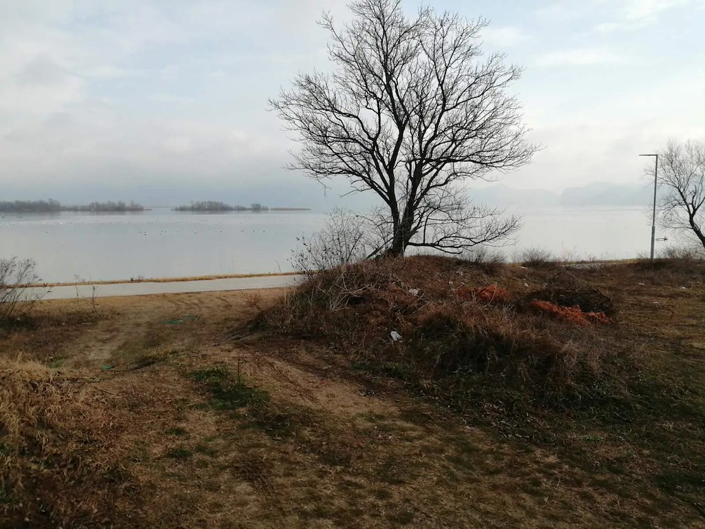 Plac, Golubac, 70ari