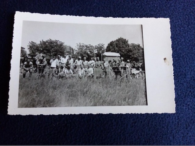 Vojska Kraljevine na manevru,Topola 1933.