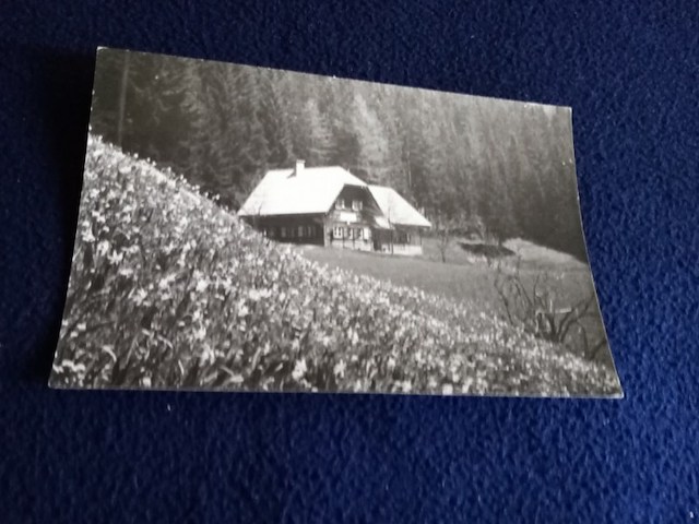Jesenice,Golica,1969,putovala.