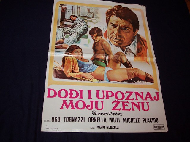 Dođi i upoznaj moju ženu,filmski plakat,