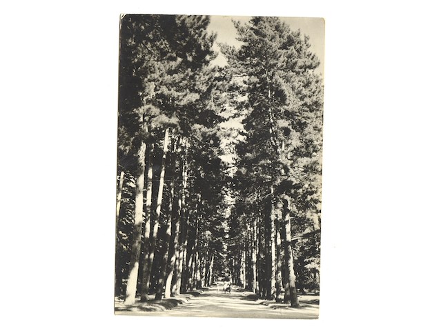 Arandjelovac,Bukovicka Banja,cb razglednica,1958.