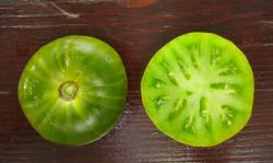 Zeleni Beefsteak paradajz (odlican!) heirloom seme