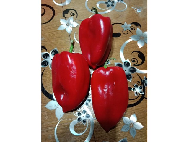 Paprika roga crvena 100 semenki