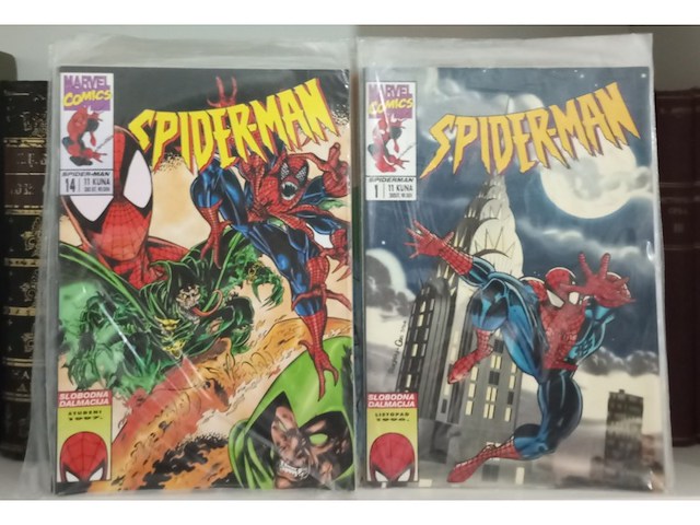 SPIDER MAN BR 1 DO 27