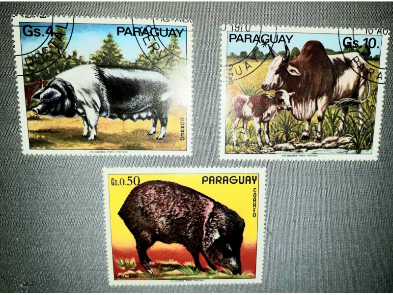 Paraguay - fauna