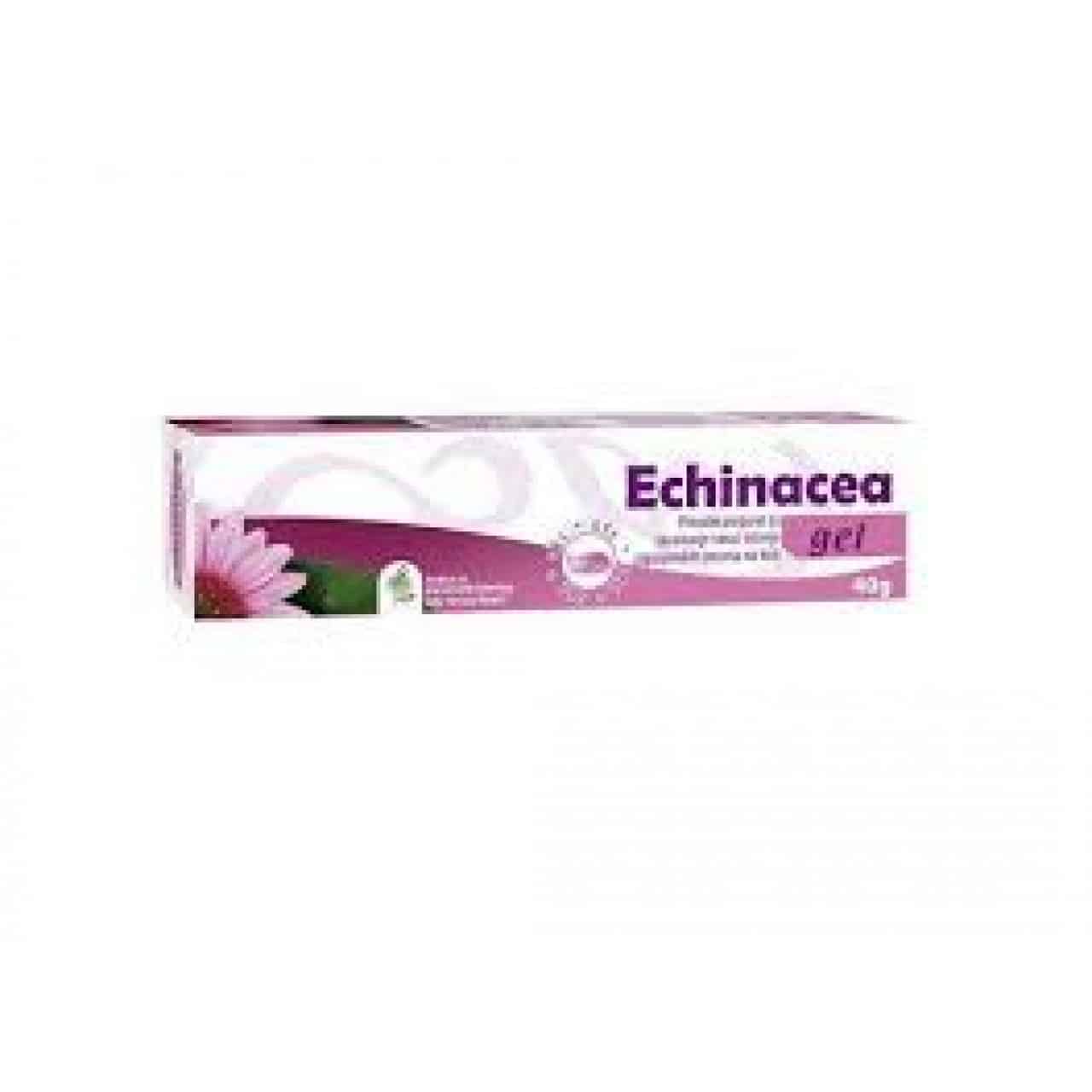 ECHINACEA gel