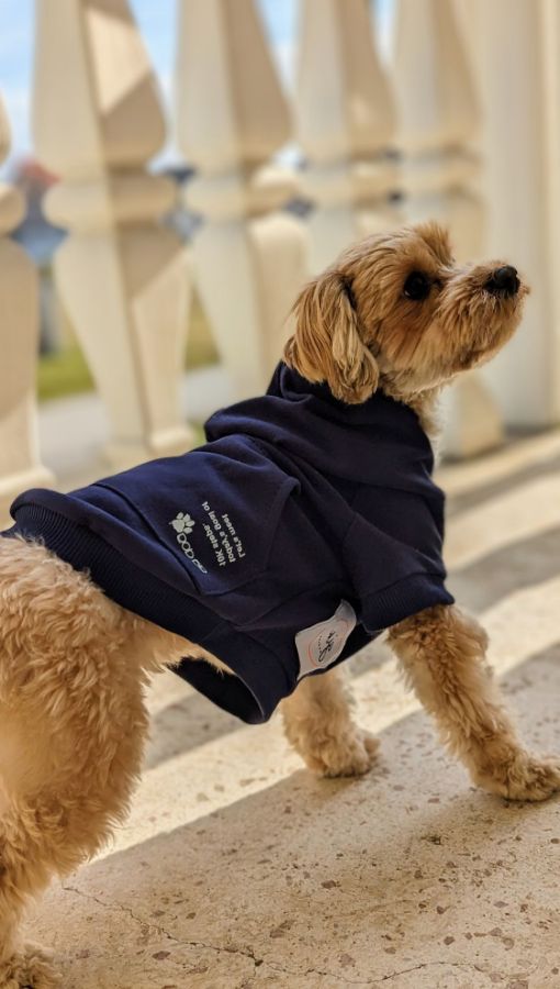 Dog hoodie - blue