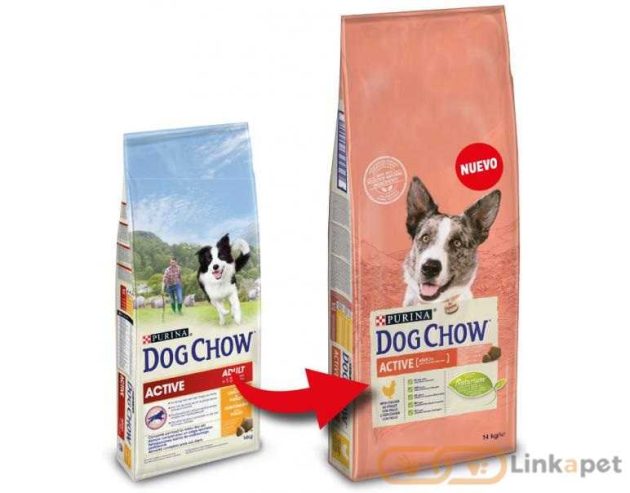 Dog Chow: Hrana za pse ACTIVE ADULT, 14 kg, AKCIJA