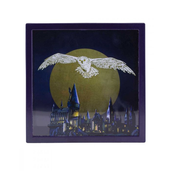 Kasica Paladone Harry Potter - Hedwig Frame - Money Box